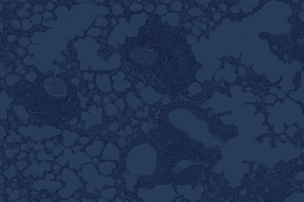 In Vivo Model of Infection - VirNext