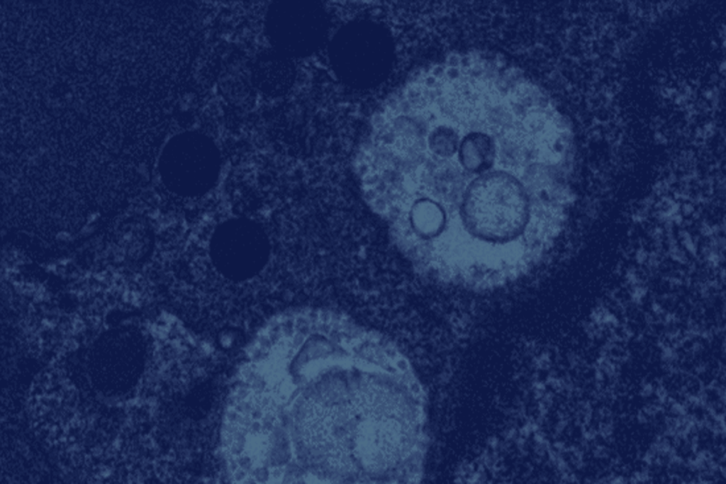 Strategic partners - VirNext