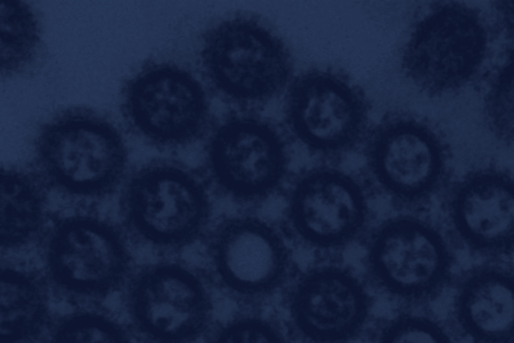 Virus library - VirNext